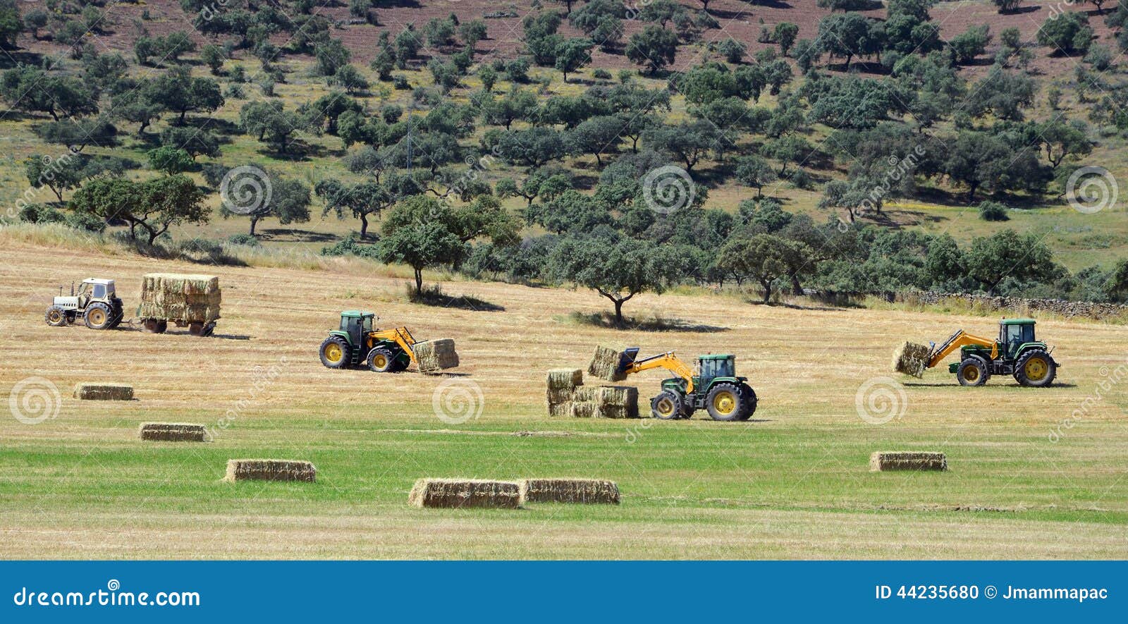 Four Tractors (panoramic View) Stock Photo - Image of tractor, bales ...