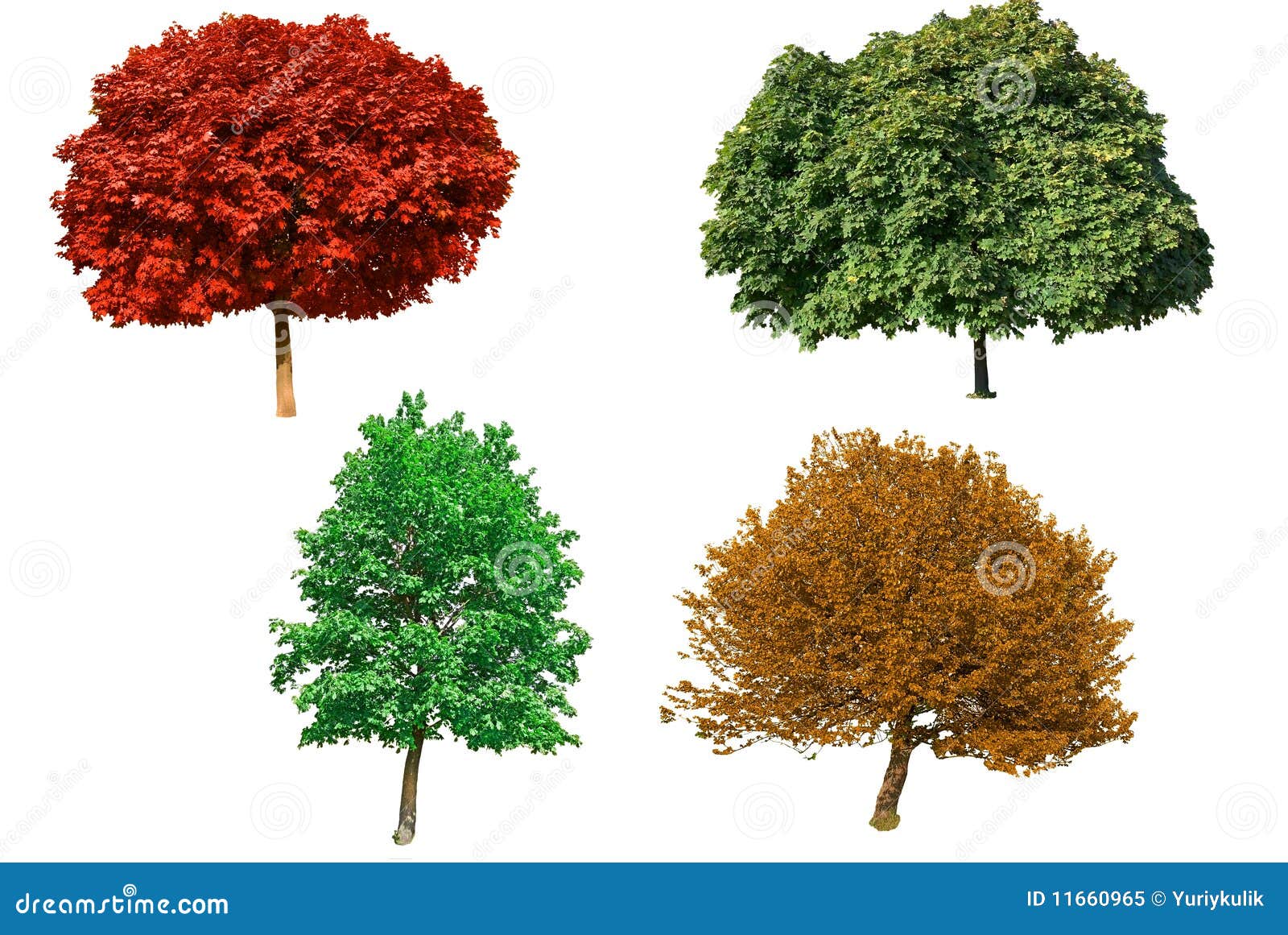 Four trees stock image. Image of alone, branch, object - 11660965