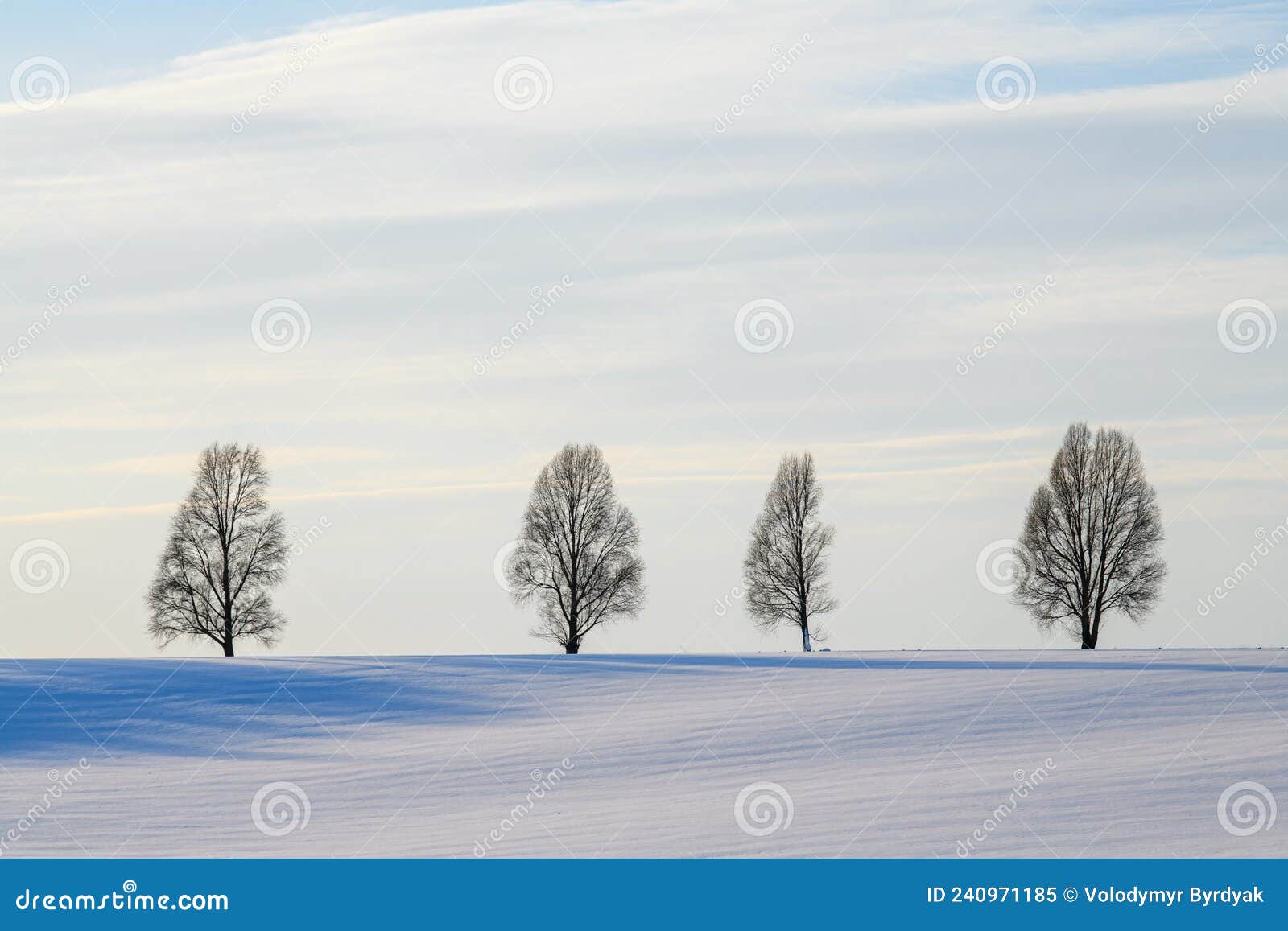 Four Trees Stand among an Empty Field in a Thin Snow Cover Stock Image ...