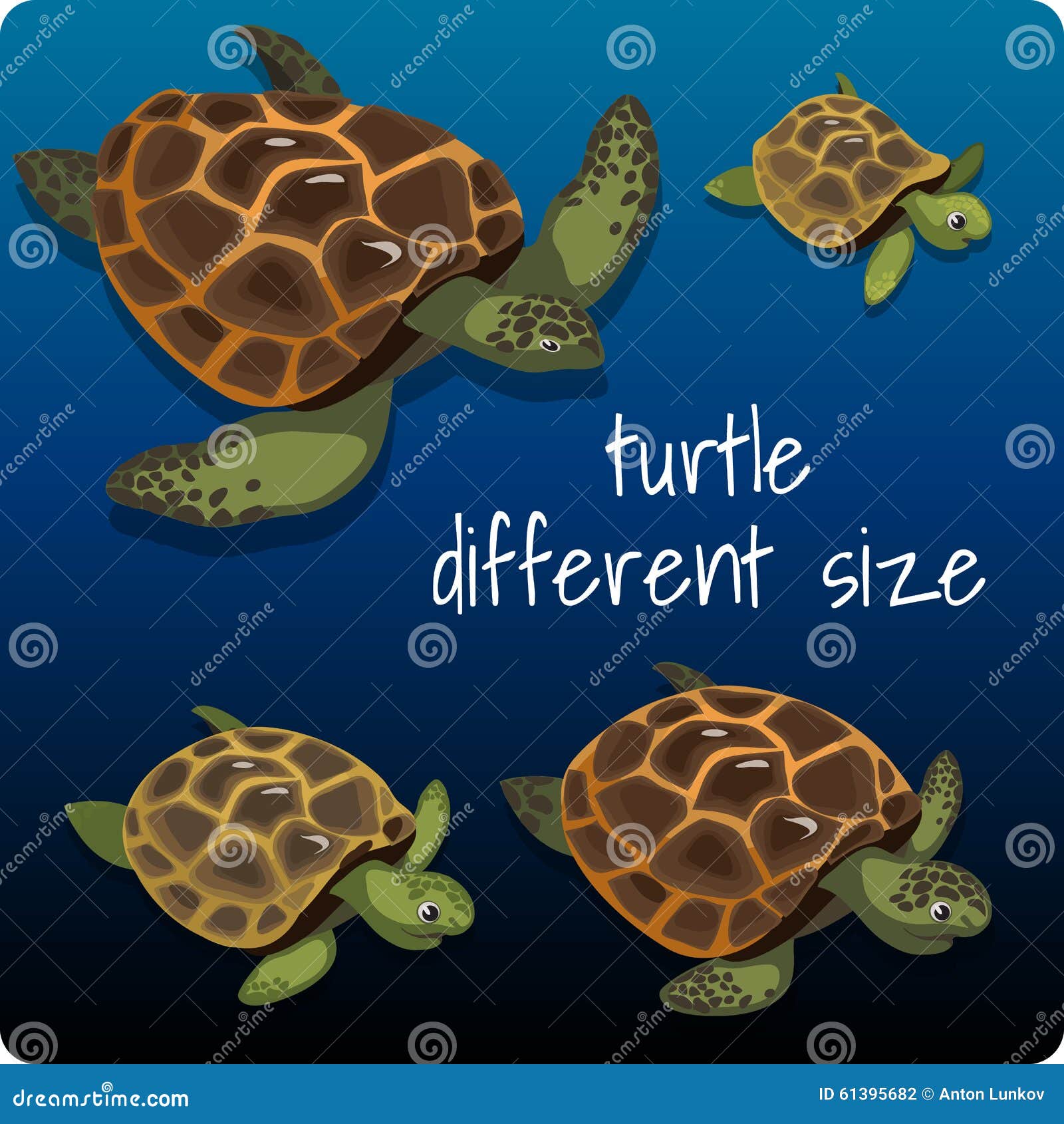 Four Turtles with Space for Text Stock Vector - Illustration of spotted ...