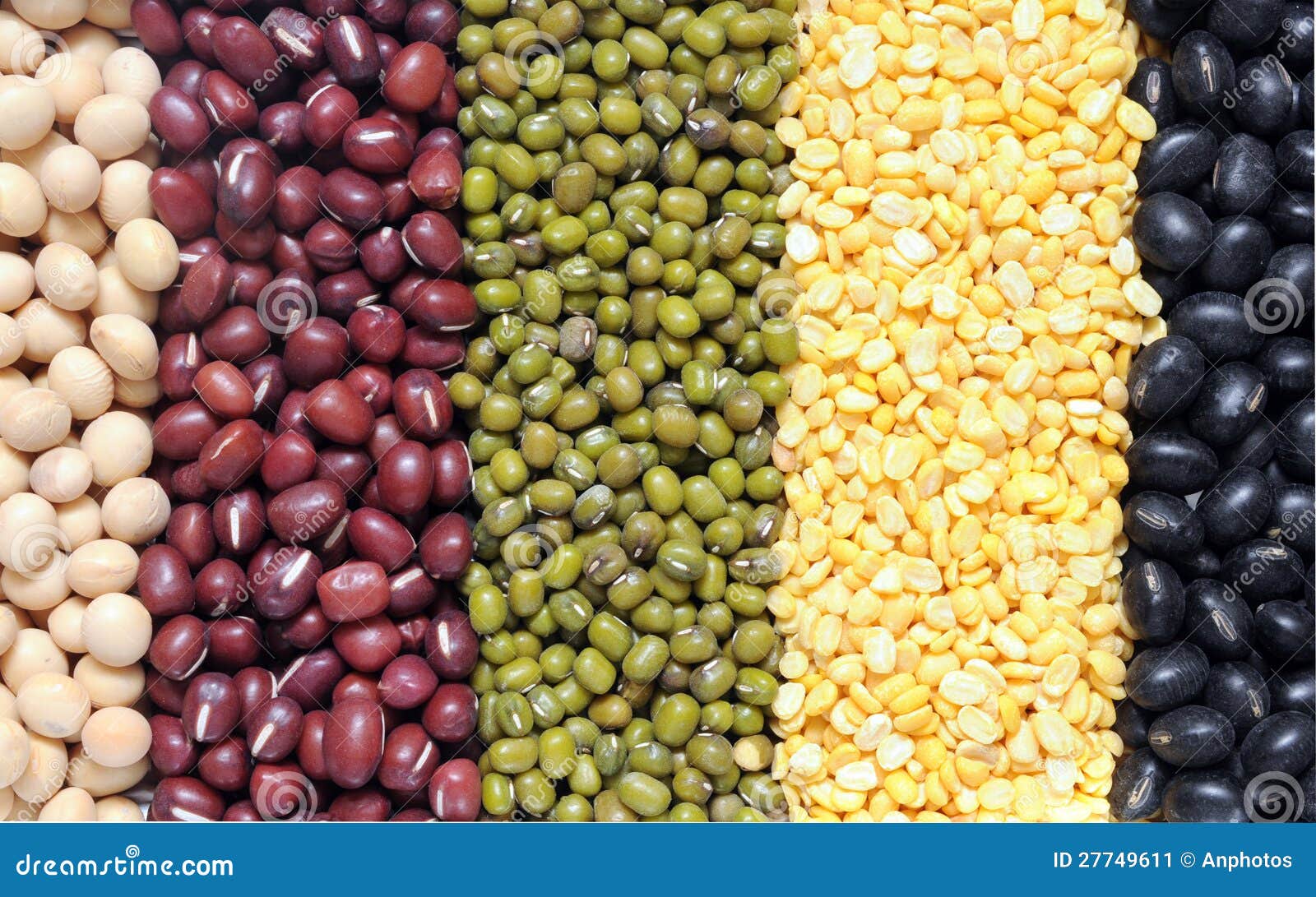 Four types of bean stock image. Image of group, soybean - 27749611