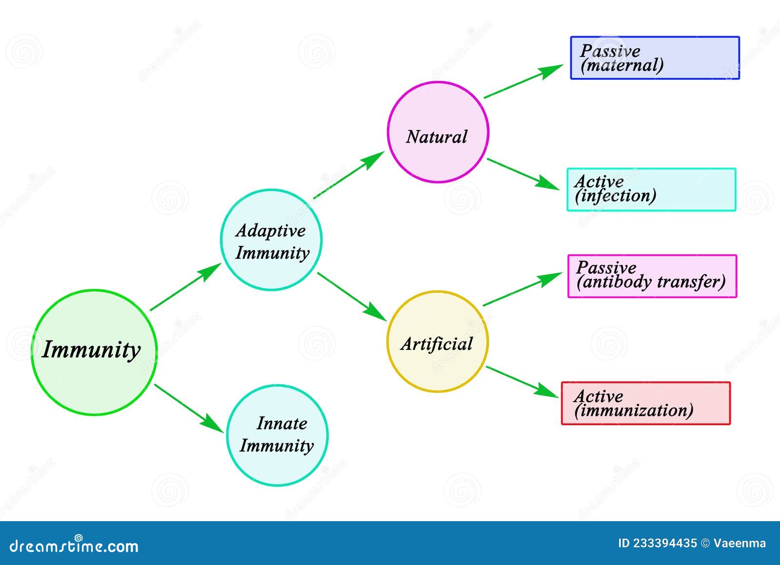 Human Immunity Reflect Bacteria Attack Landing Page Template ...