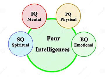 Four Types of Intelligences Stock Illustration - Illustration of four ...