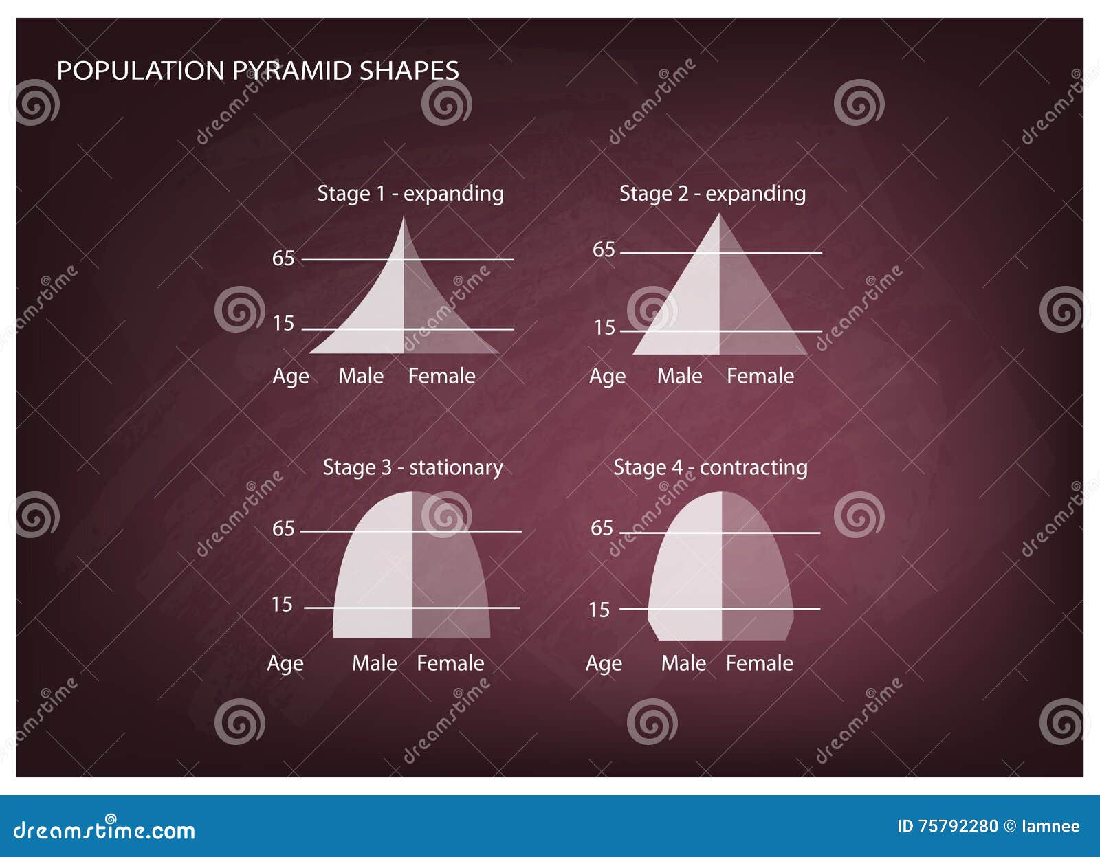 Four Types Of Population Pyramids On Chalkboard Background Stock Vector