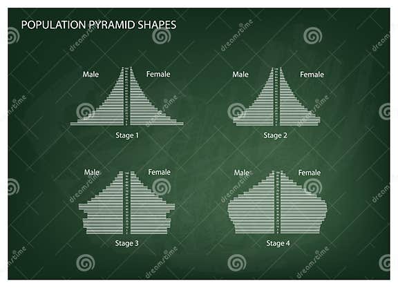 Four Types of Population Pyramids on Chalkboard Background Stock Vector ...