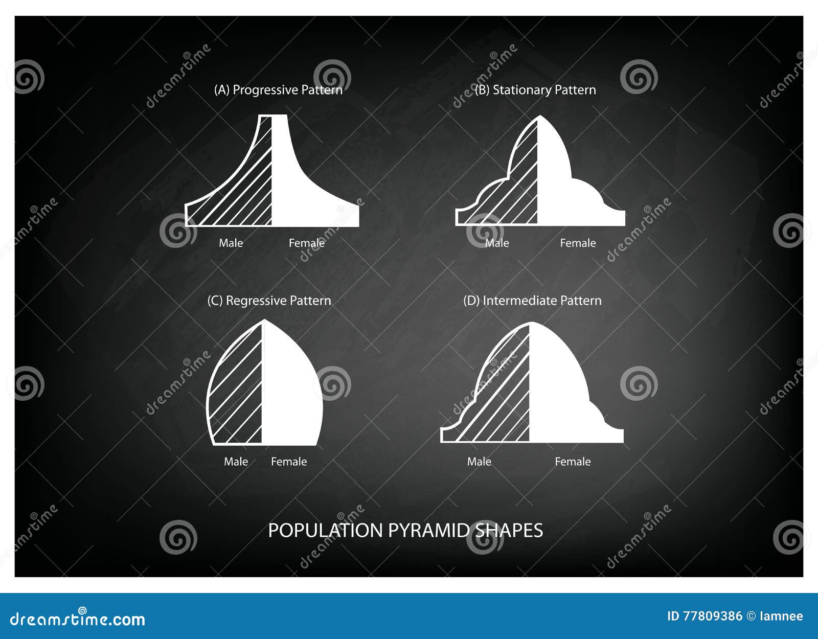 Four Types Of Population Pyramids On Chalkboard Background Vector ...