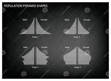 Four Types of Population Pyramids on Chalkboard Background Stock Vector ...