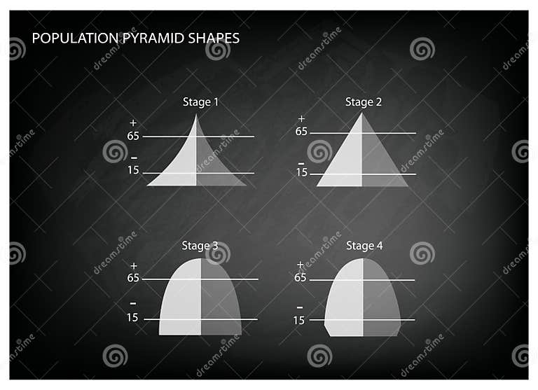 Four Types of Population Pyramids on Chalkboard Background Stock Vector ...