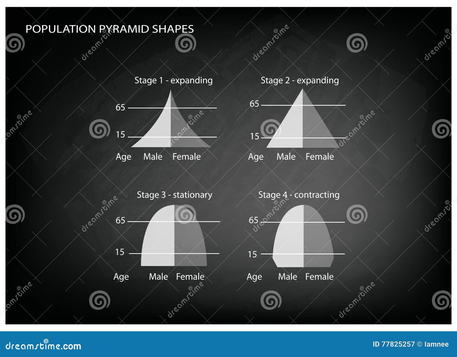 Four Types of Population Pyramids on Chalkboard Background Stock Vector ...