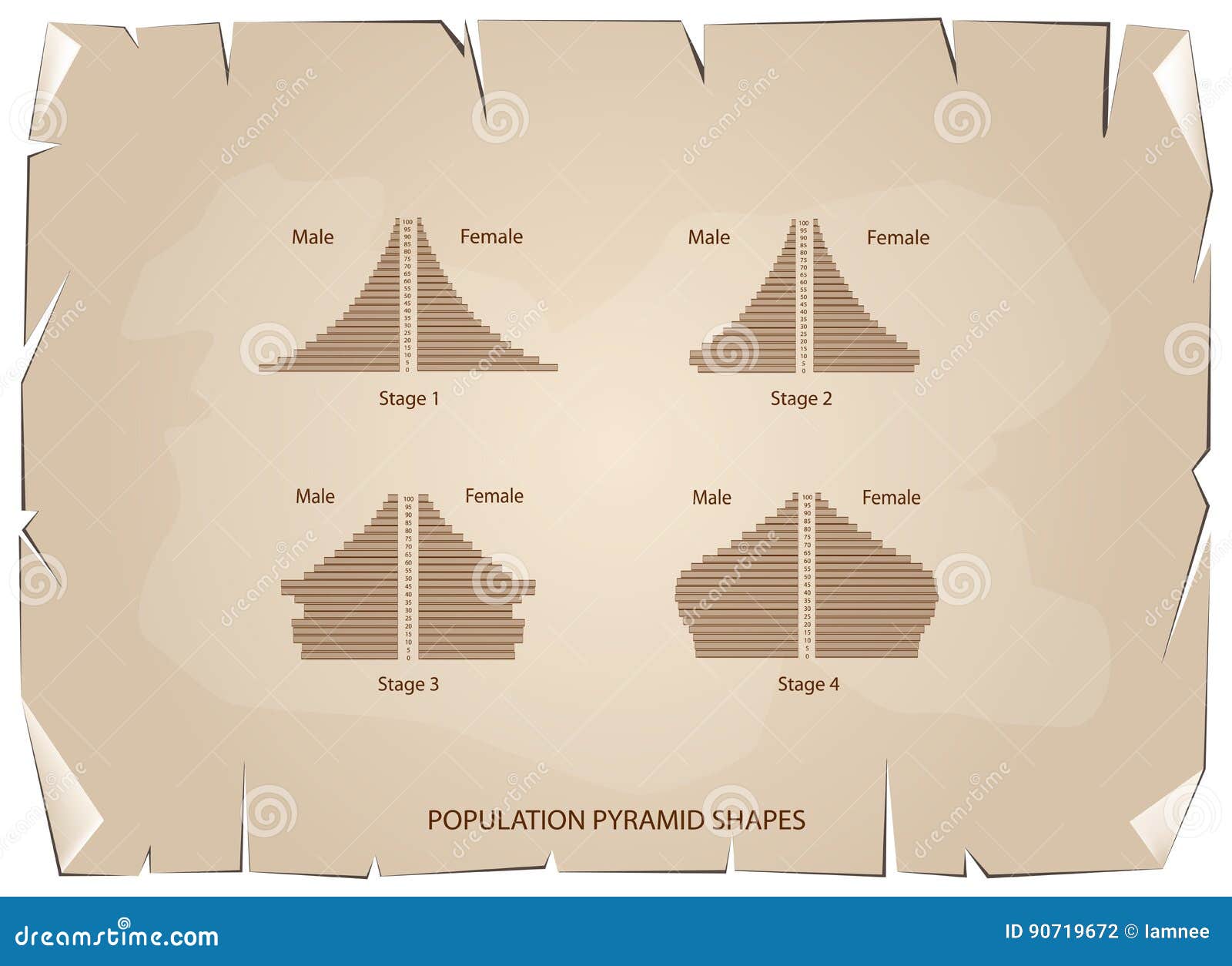 Four Types Of Population Pyramids On Old Paper Background Vector ...