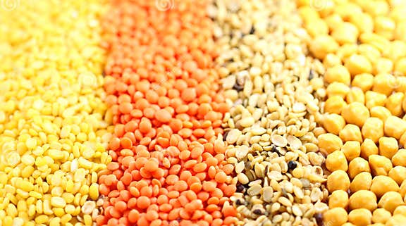 Four types of pulses stock image. Image of healthy, asian - 26418615