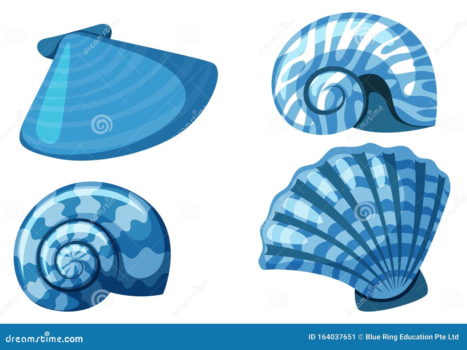 Four Types of Shells in Blue Color Stock Vector - Illustration of blue ...