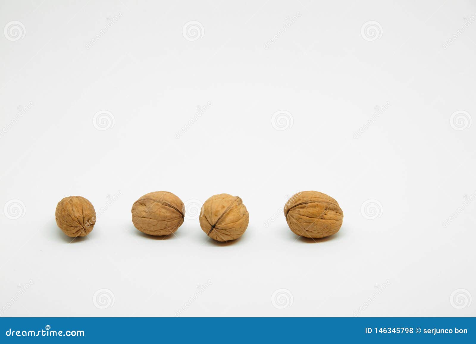 Four Walnuts in Line on White Background Stock Photo - Image of ...