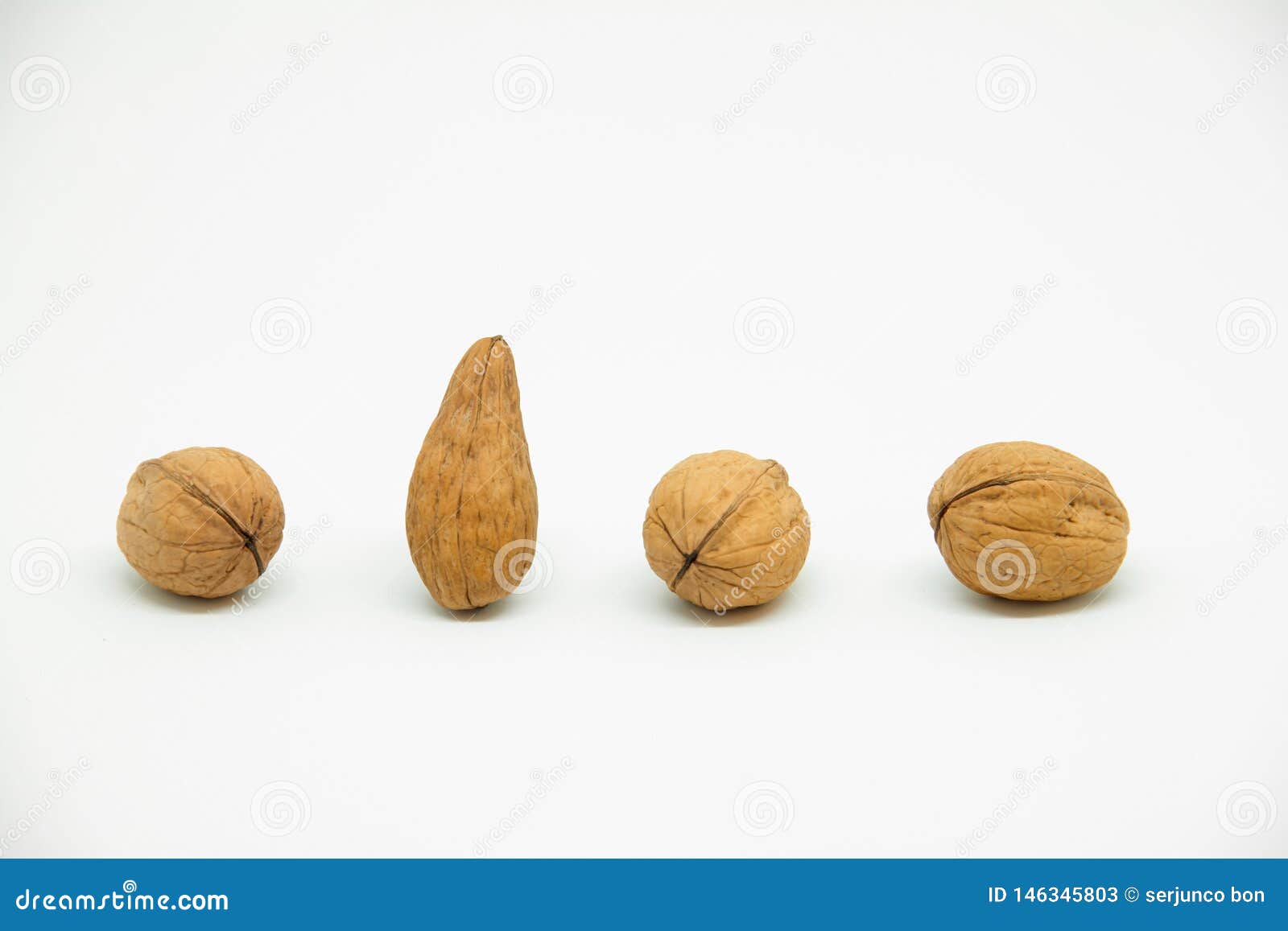 Four Walnuts in Line on a White Background in Which One is a Different ...