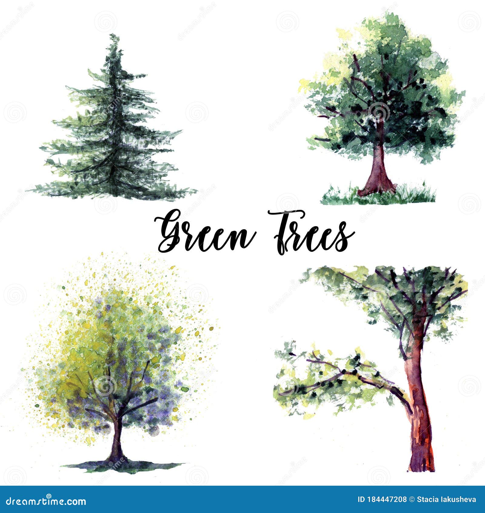 Four Watercolor Hand Drawn Forest Trees Stock Photo - Image of fresh, painting: 184447208
