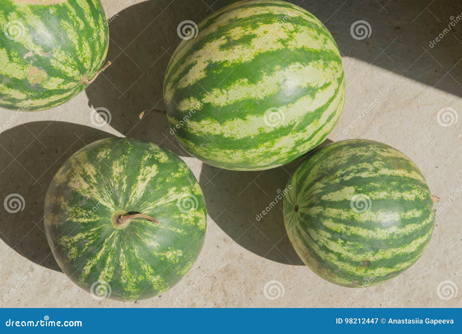 Four Watermelons on the Floor in Sun Light Stock Image - Image of ...