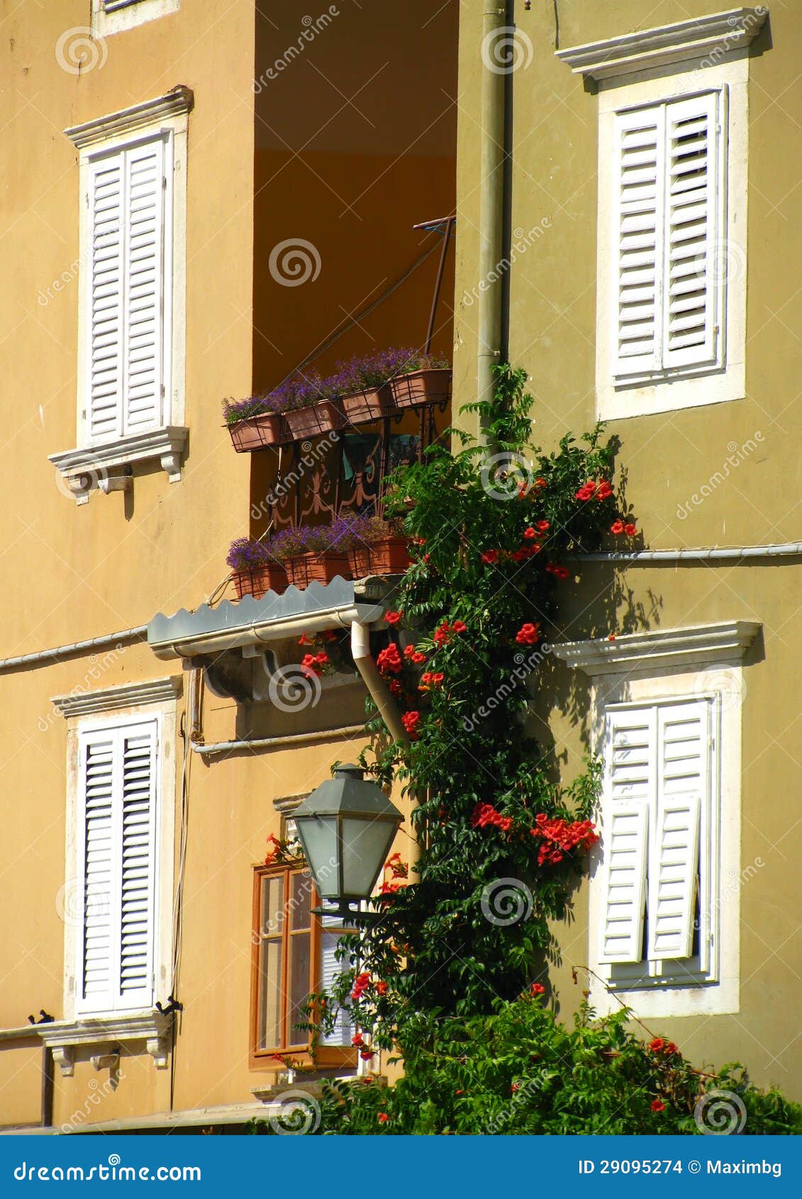 Four White Mediterranean Windows Stock Photo - Image of decay, dalmatia ...