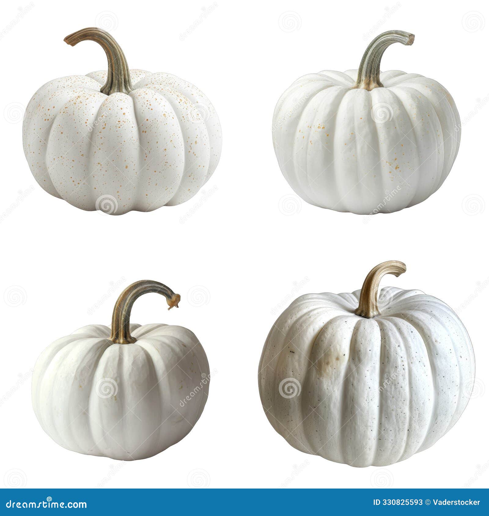 Four White Pumpkins with Different Sizes and Textures Stock ...