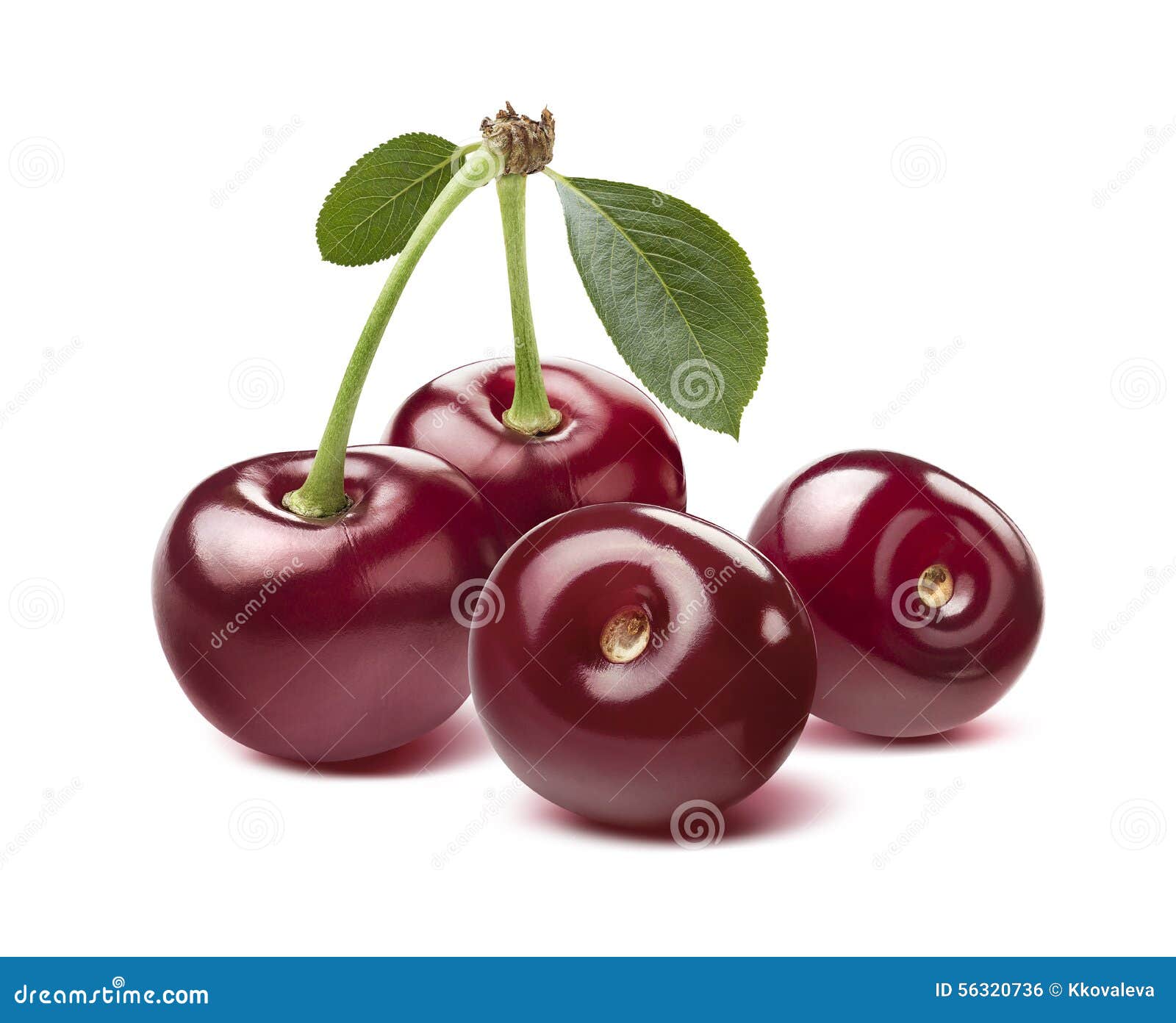 Wet Ripe Wild Cherries And Red Dark Sweet Cherries Royalty-Free Stock ...