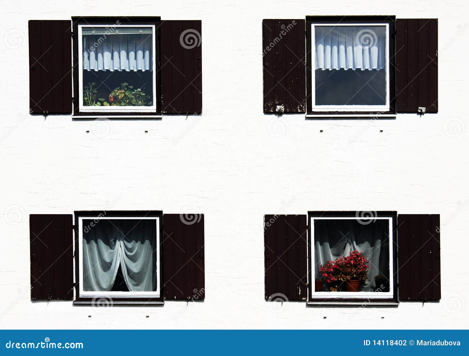 Four windows stock photo. Image of flower, backgroumd - 14118402