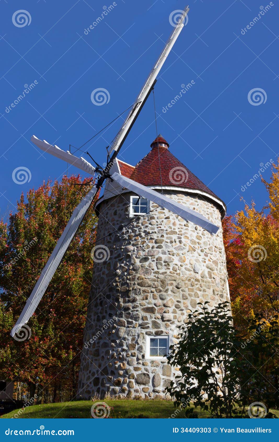 Four wings stock image. Image of leave, yvan, wings, autumn - 34409303