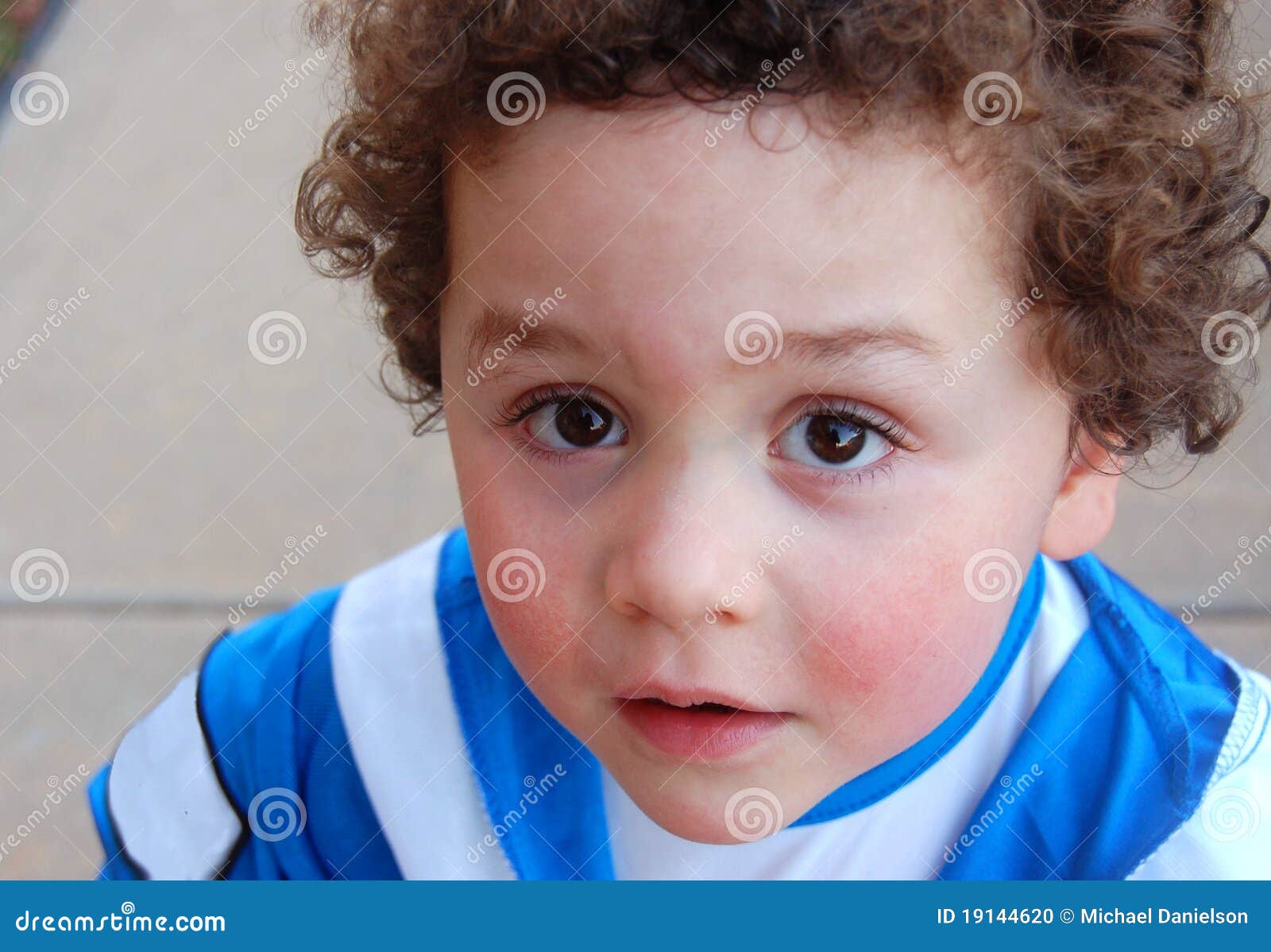 Four Year Old Child Boxer Sizing Up the Camera Stock Photo - Image of ... Four Year Old Child Boxer Sizing Up the Camera Stock Photo - Image of ...