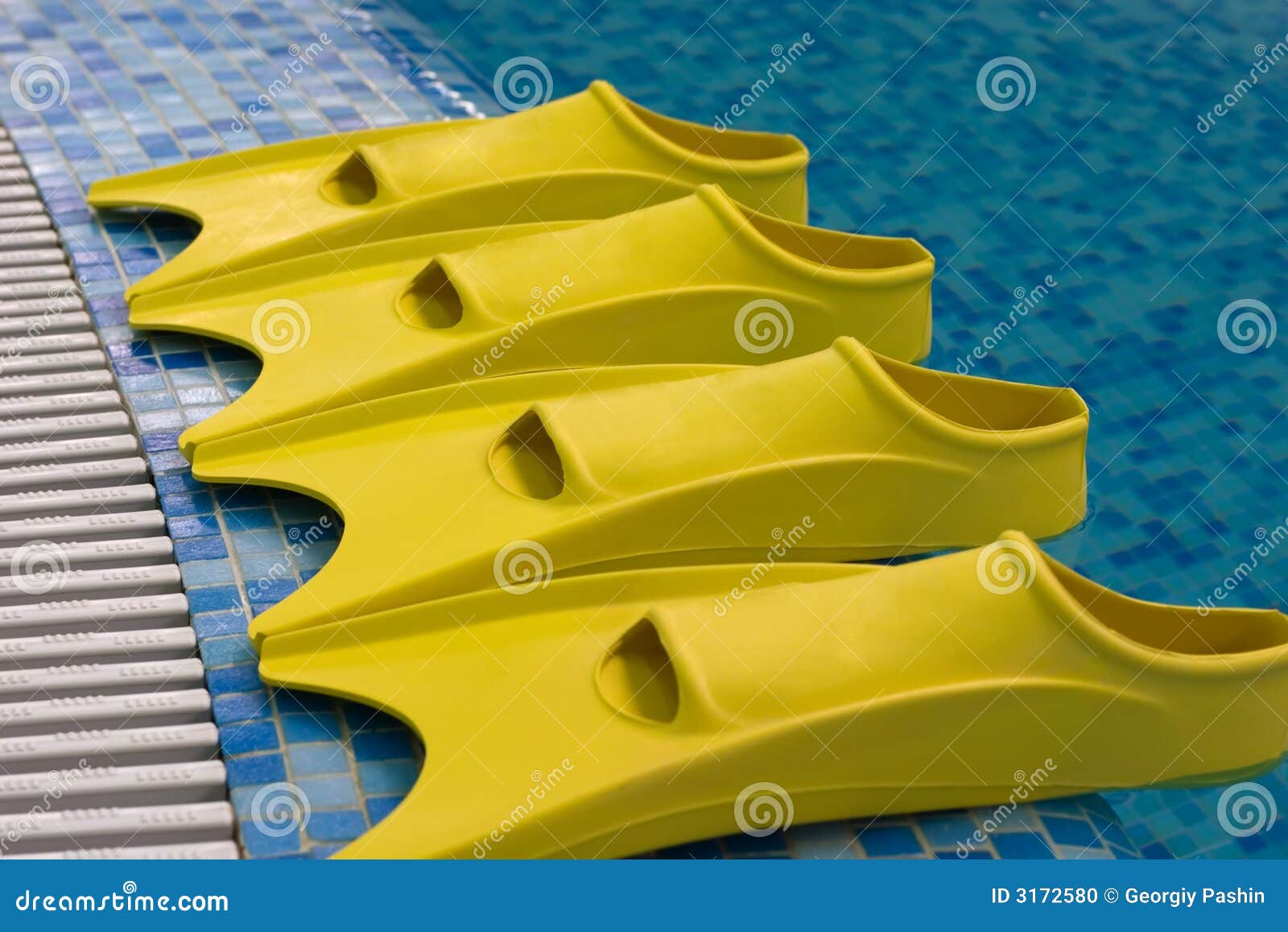 Four yellow fins at side stock photo. Image of blue, foot - 3172580