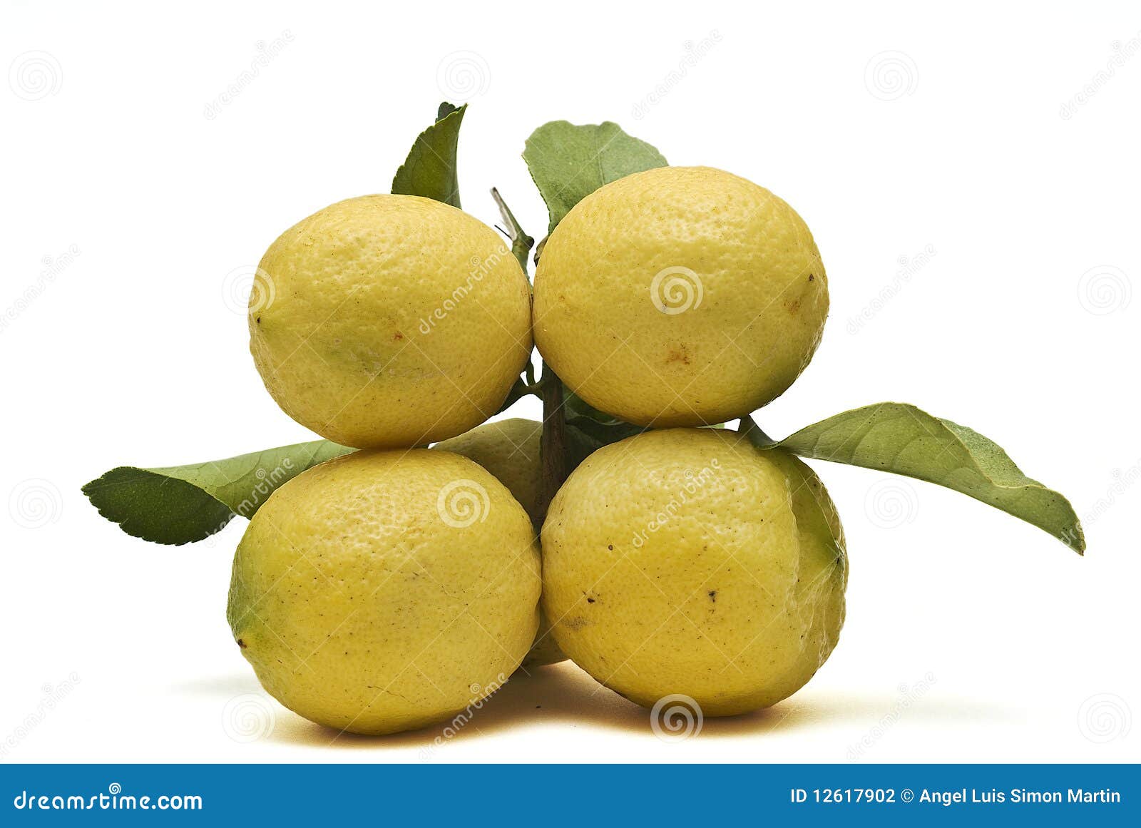Four yellow lemons. stock photo. Image of drinks, influenza - 12617902