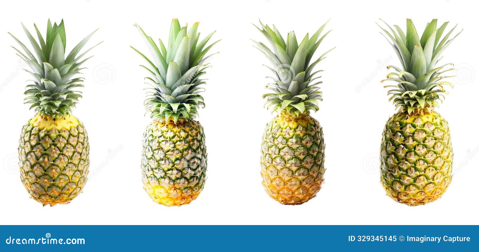 Four Yellow Pineapples are Lined Up . Isolated on Transparent ...