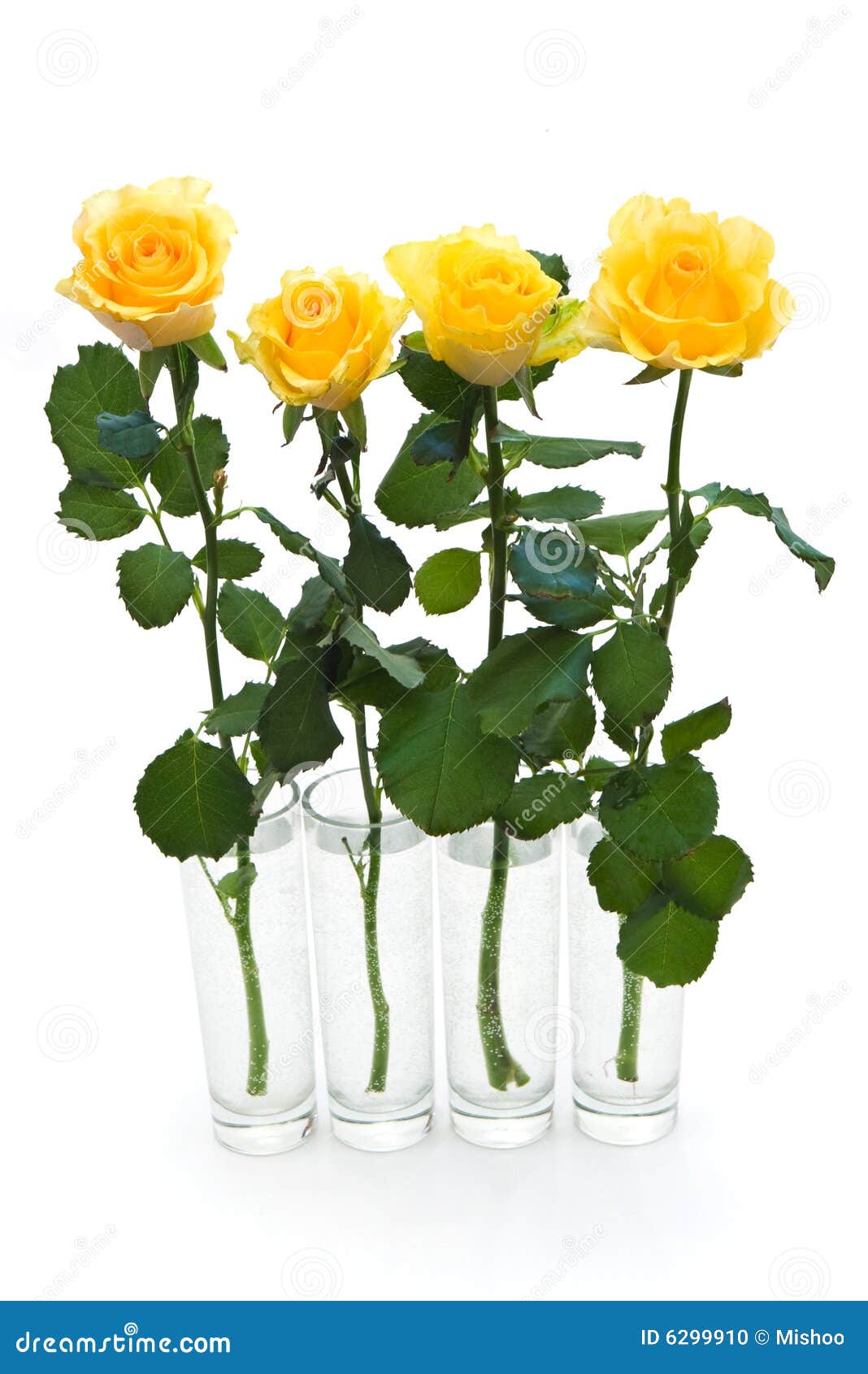 Four yellow roses stock photo. Image of macro, floral - 6299910