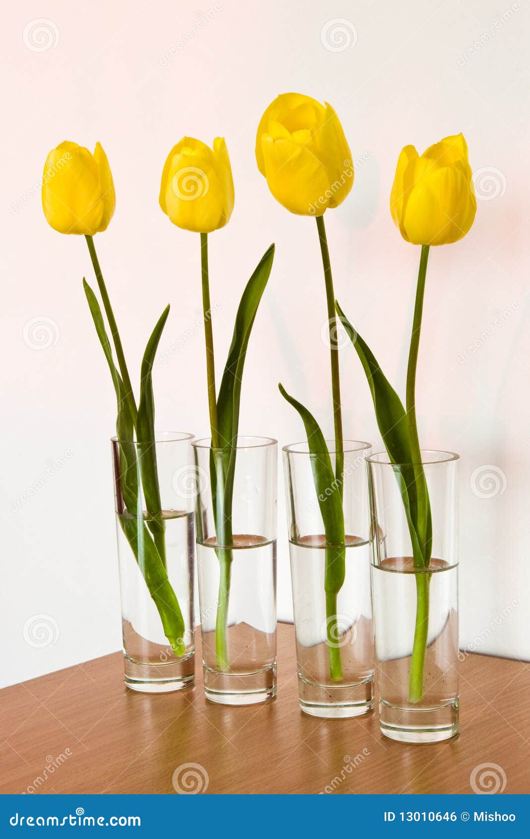 Four yellow tulips stock photo. Image of color, blossom - 13010646