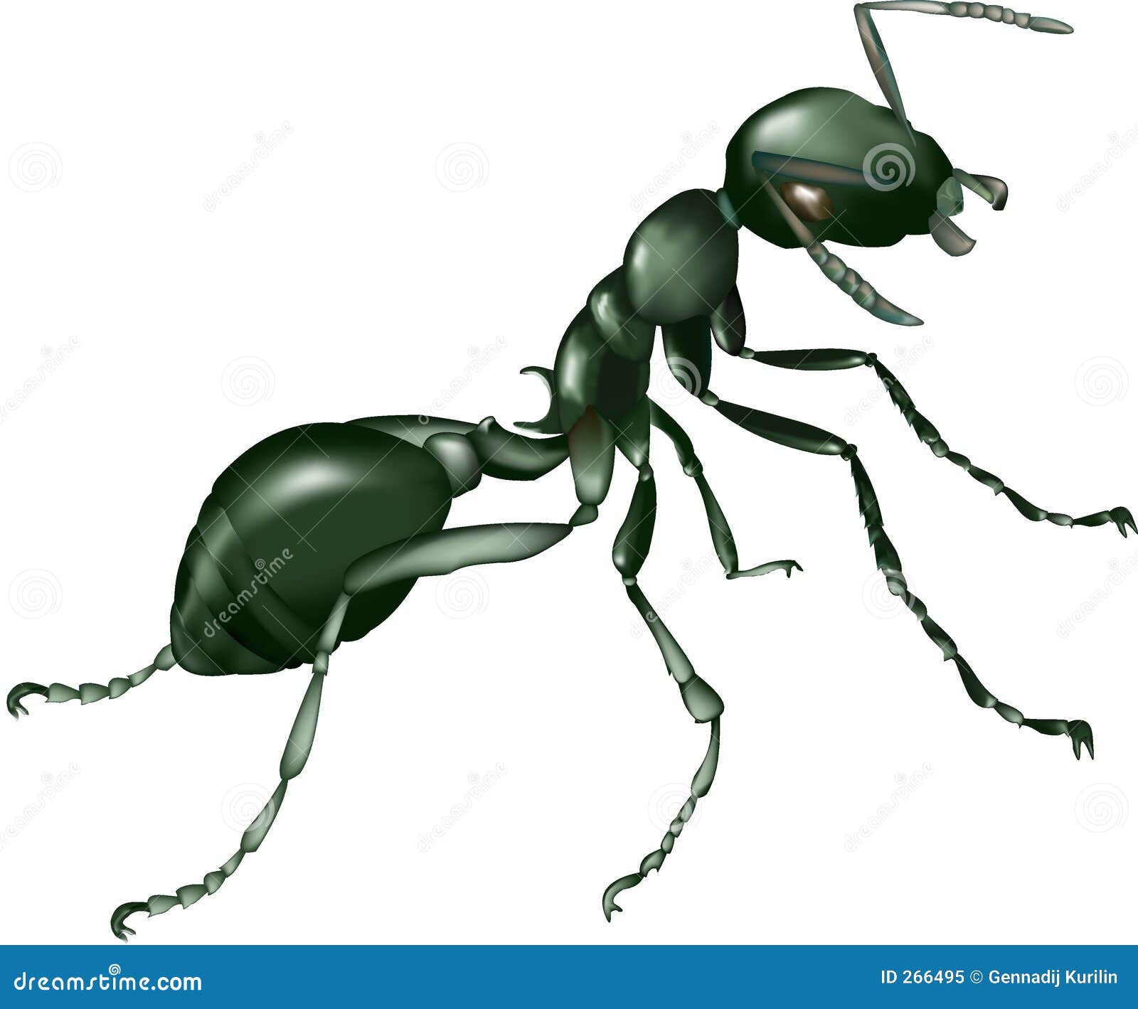 Fourmi Stock Illustrations, Vecteurs, & Clipart – (12,403 Stock ...