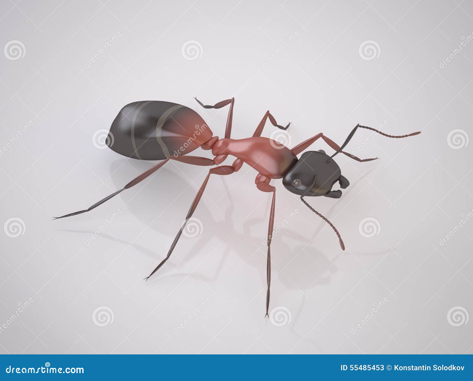 Fourmi illustration stock. Illustration du ordinateur - 55485453