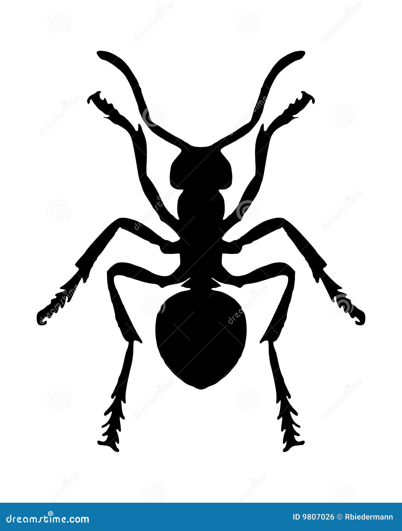 Fourmi illustration de vecteur. Illustration du nature - 9807026