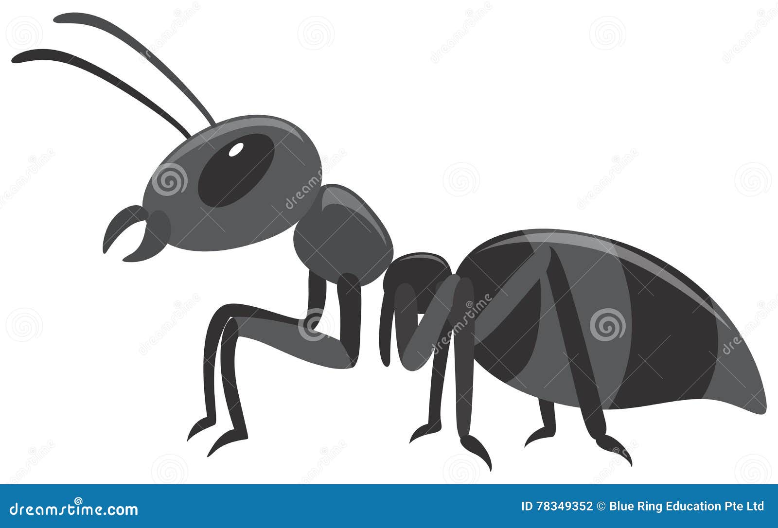 Fourmi Noire Stock Illustrations, Vecteurs, & Clipart – (238 Stock ...