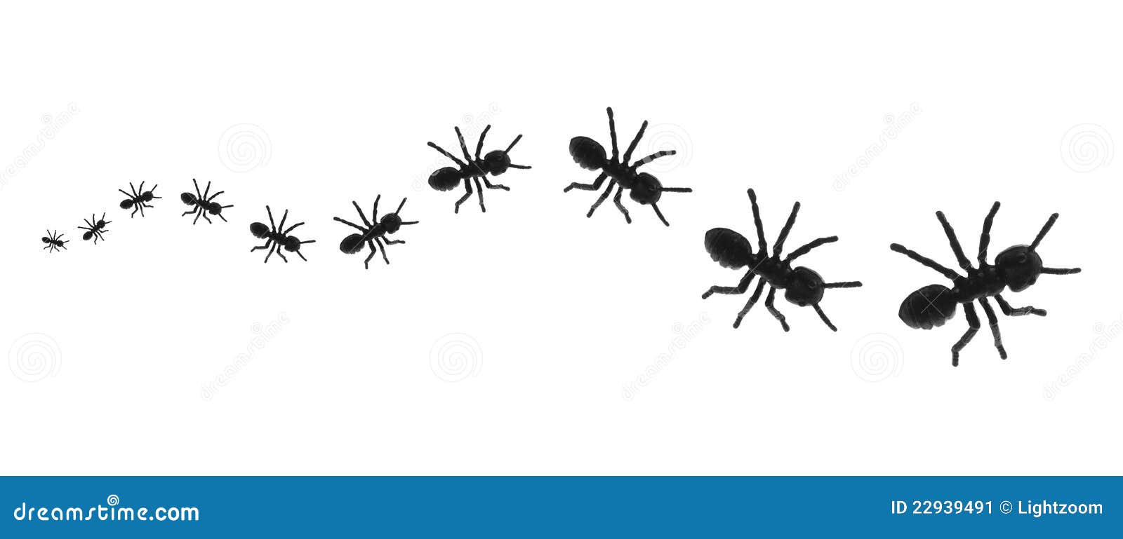 Fourmis De Jouet Dans Une Ligne Image stock - Image du ligne, longtemps ...