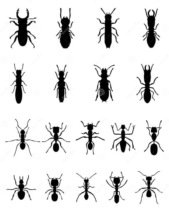 Fourmis et termites illustration stock. Illustration du blanc - 62431171