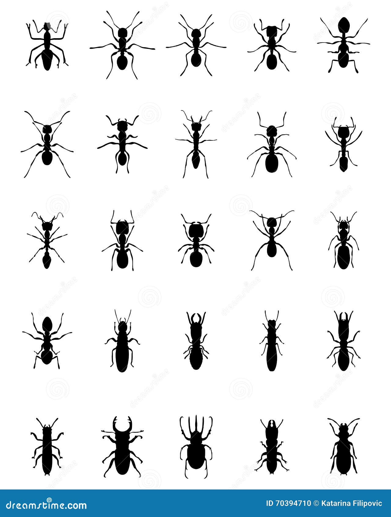 Fourmis et termites illustration stock. Illustration du noir - 70394710