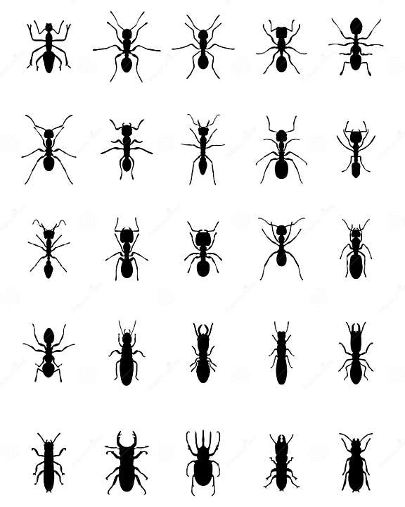 Fourmis et termites illustration stock. Illustration du noir - 70394710