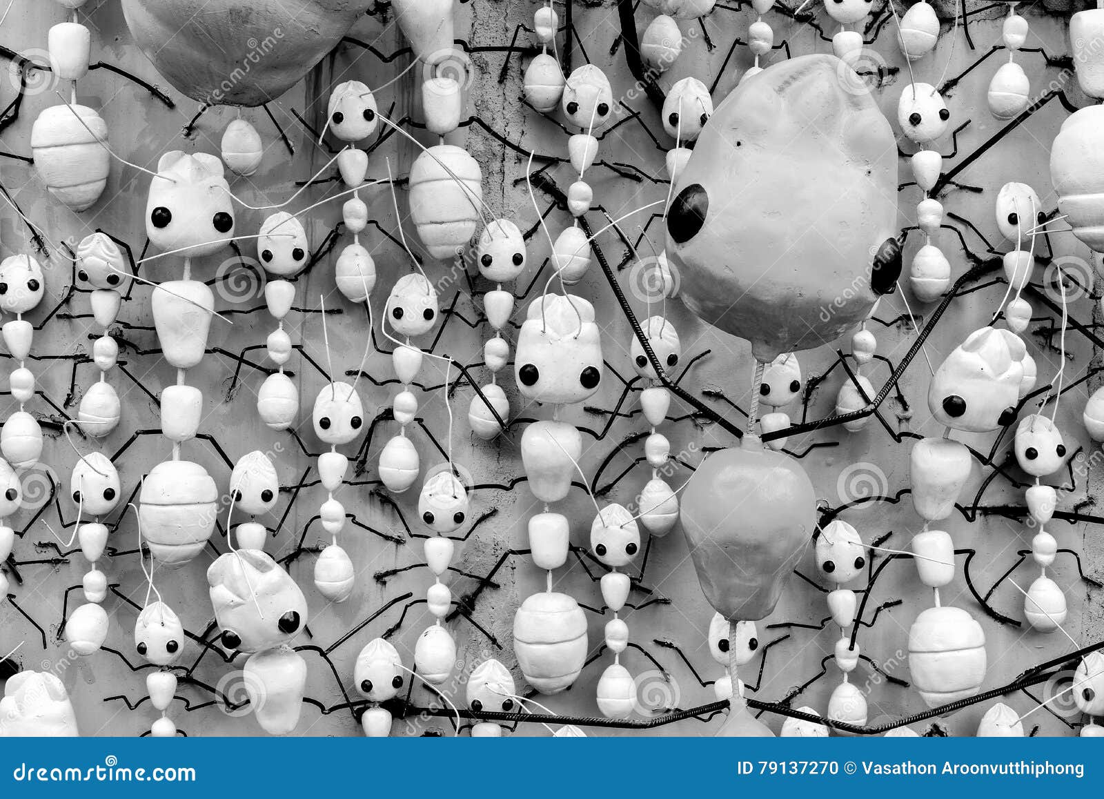 Fourmis noires et blanches photo stock. Image du réseau - 79137270