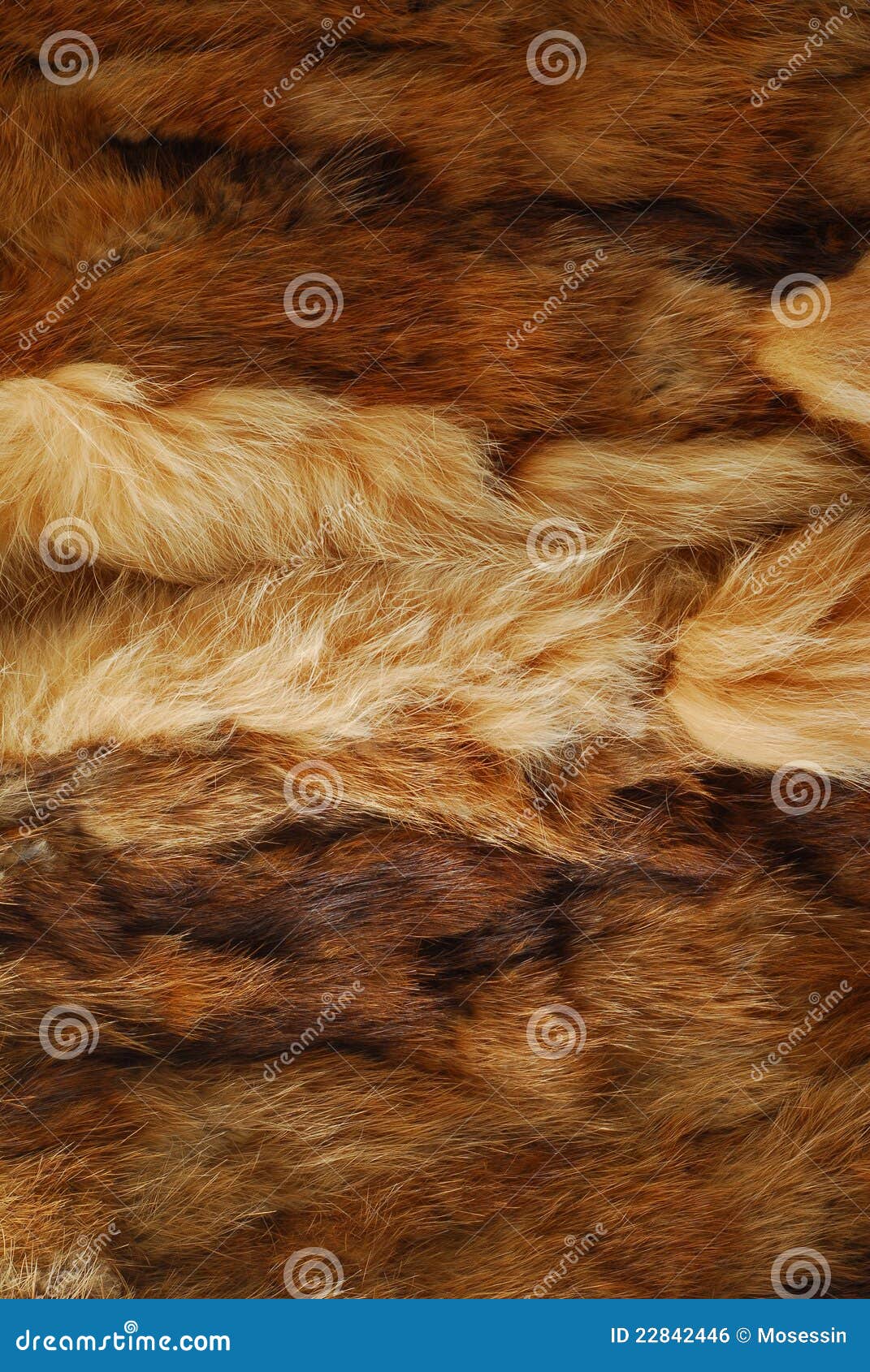 Fourrure D'animal De Hairly Photo stock - Image du crabot, fureur: 22842446