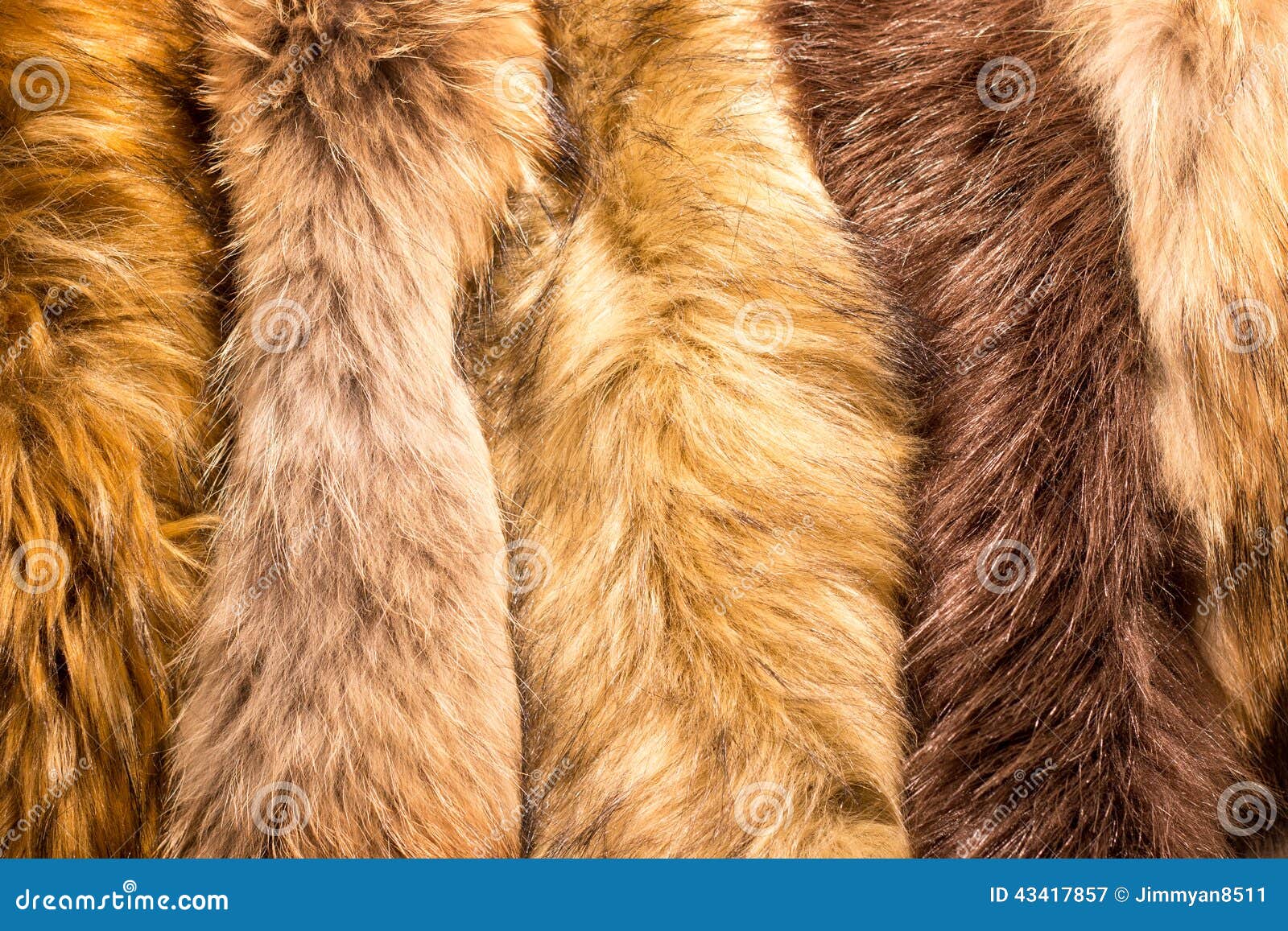 Fourrure d'animaux image stock. Image du noir, élégance - 43417857 Fourrure d'animaux image stock. Image du noir, élégance - 43417857