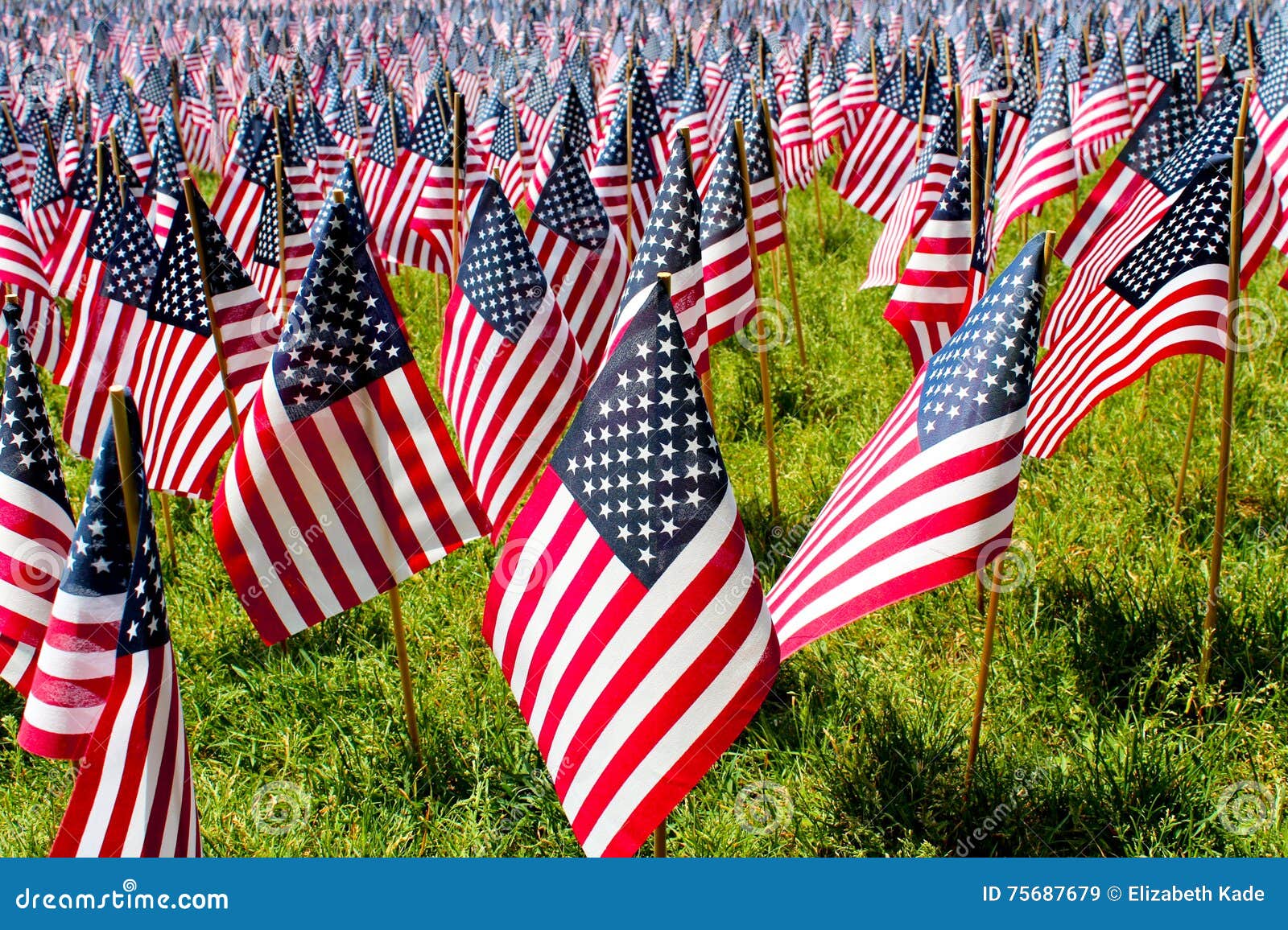 Fourth of July Field of Flags Stock Image - Image of flag, july: 75687679
