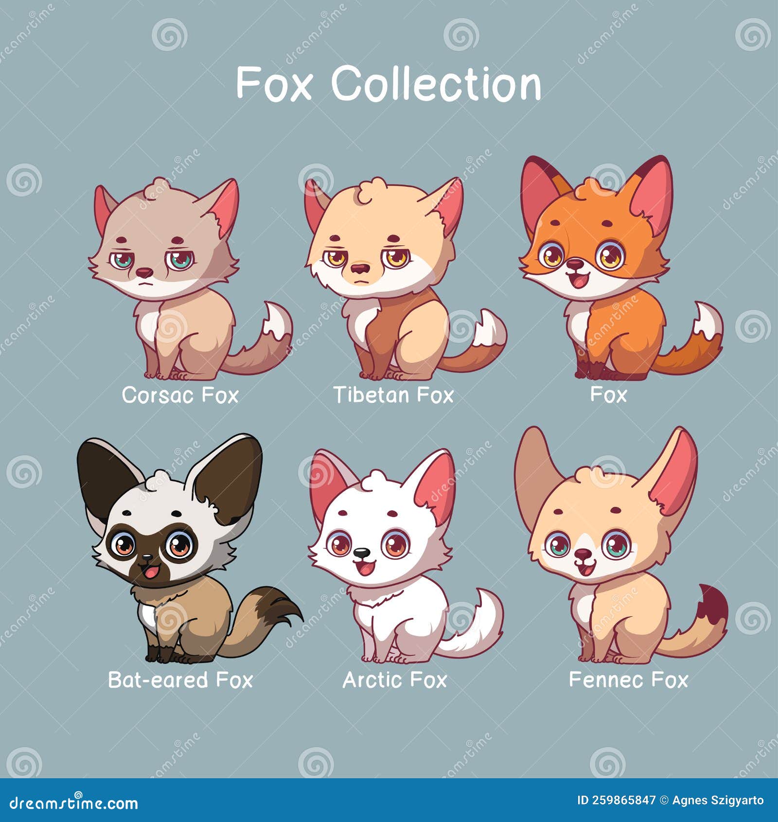 Fox Collection Illustrations with Name Text Stock Vector - Illustration ...