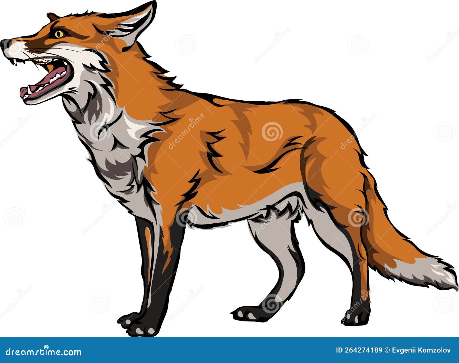 Fox, Color, Various Poses, Situations, Vector, Drawing Stock Vector ...