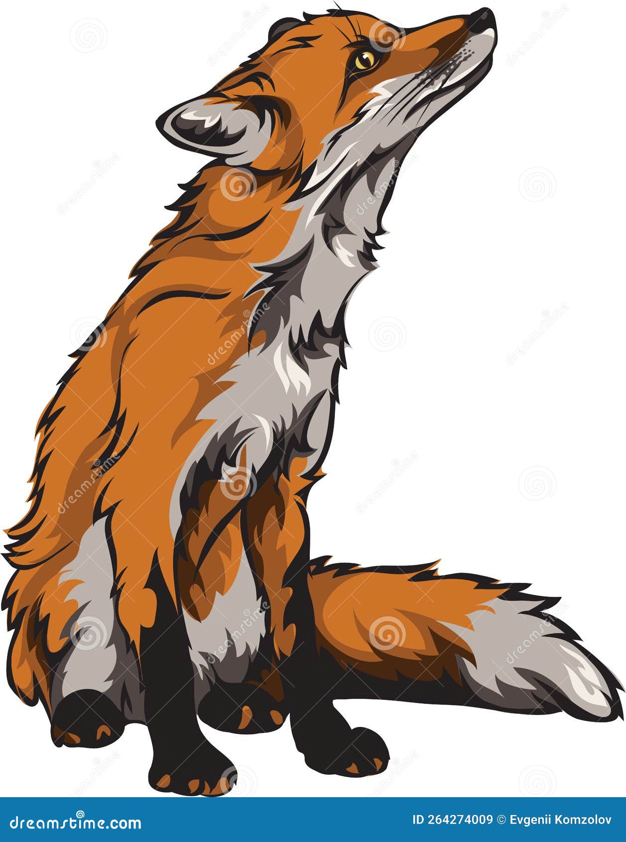 Fox, Color. Vector Image of a Fox, Outline Stock Vector - Illustration ...