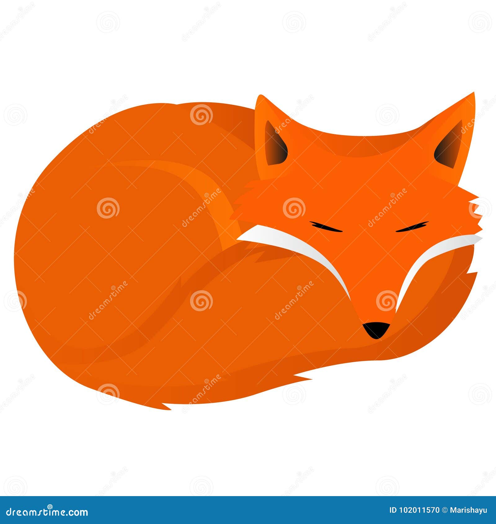 Fox curled up stock vector. Illustration of nature, ball - 102011570