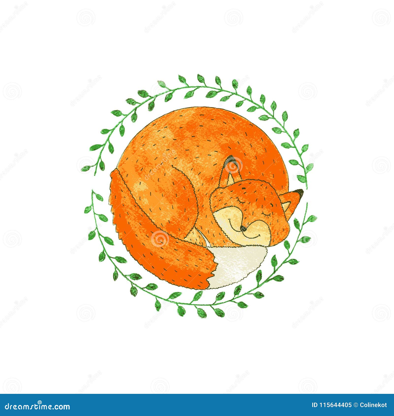 Fox da aquarela do vetor ilustração do vetor. Ilustração de caligrafia ...