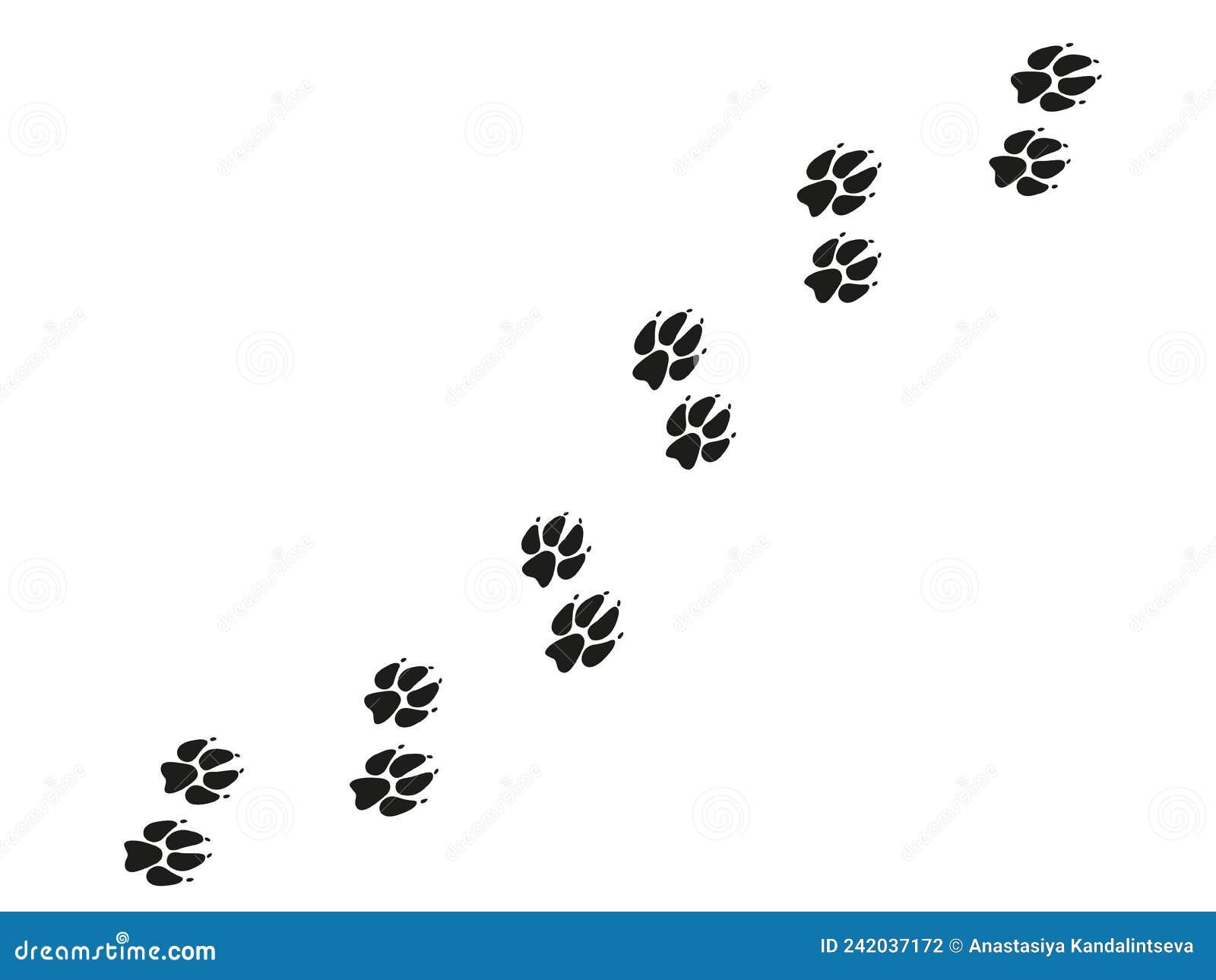 Fox Feet Tracks. Animals Paws and Sillhouetts Stock Vector ...