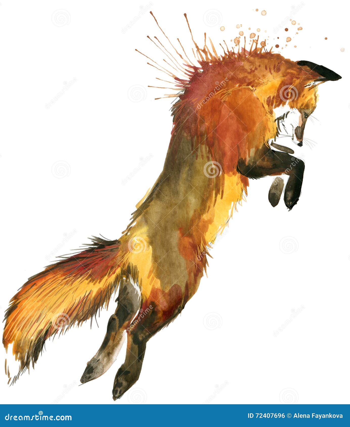 Fox. Fox Hunting. Cute Fox. Watercolor Fox Illustration. Stock ...
